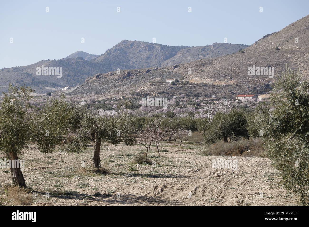Beautiful landscape in oria hi-res stock photography and images - Alamy