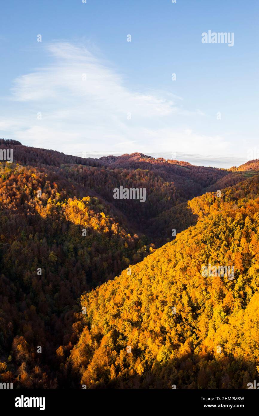 La garrotxa nature reserve hi-res stock photography and images - Alamy