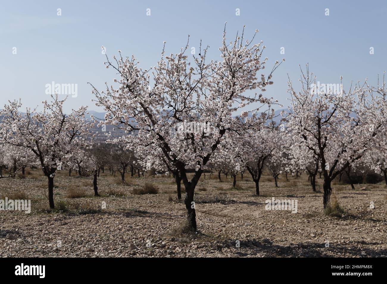 Beautiful landscape in oria hi-res stock photography and images - Alamy