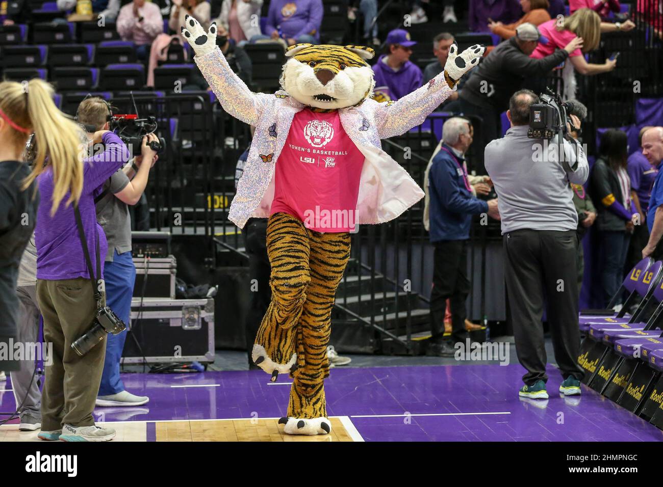 Tiger Basketball Mascot