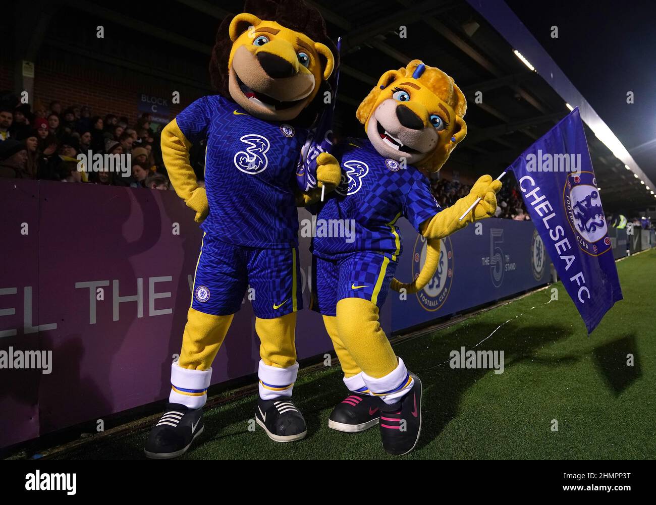 Chelsea mascots Stamford the Lion and Bridget the Lioness during the ...
