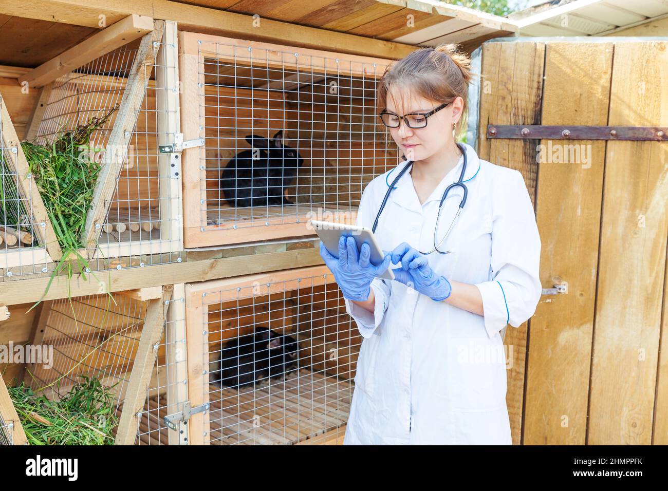 Veterinarian woman with tablet computer checking animal health status ...