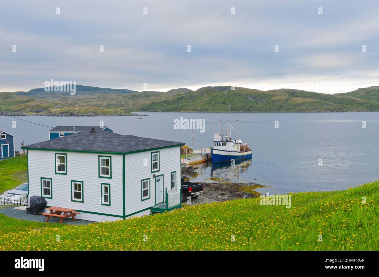 Newfoundland coast in summer time Stock Photo - Alamy