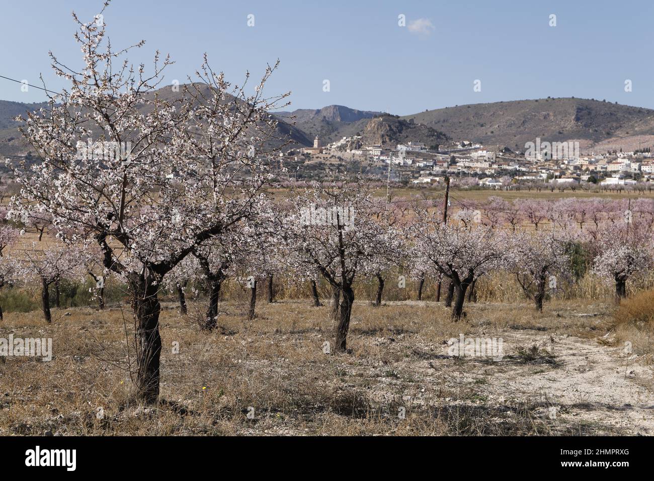 Beautiful landscape in oria hi-res stock photography and images - Alamy