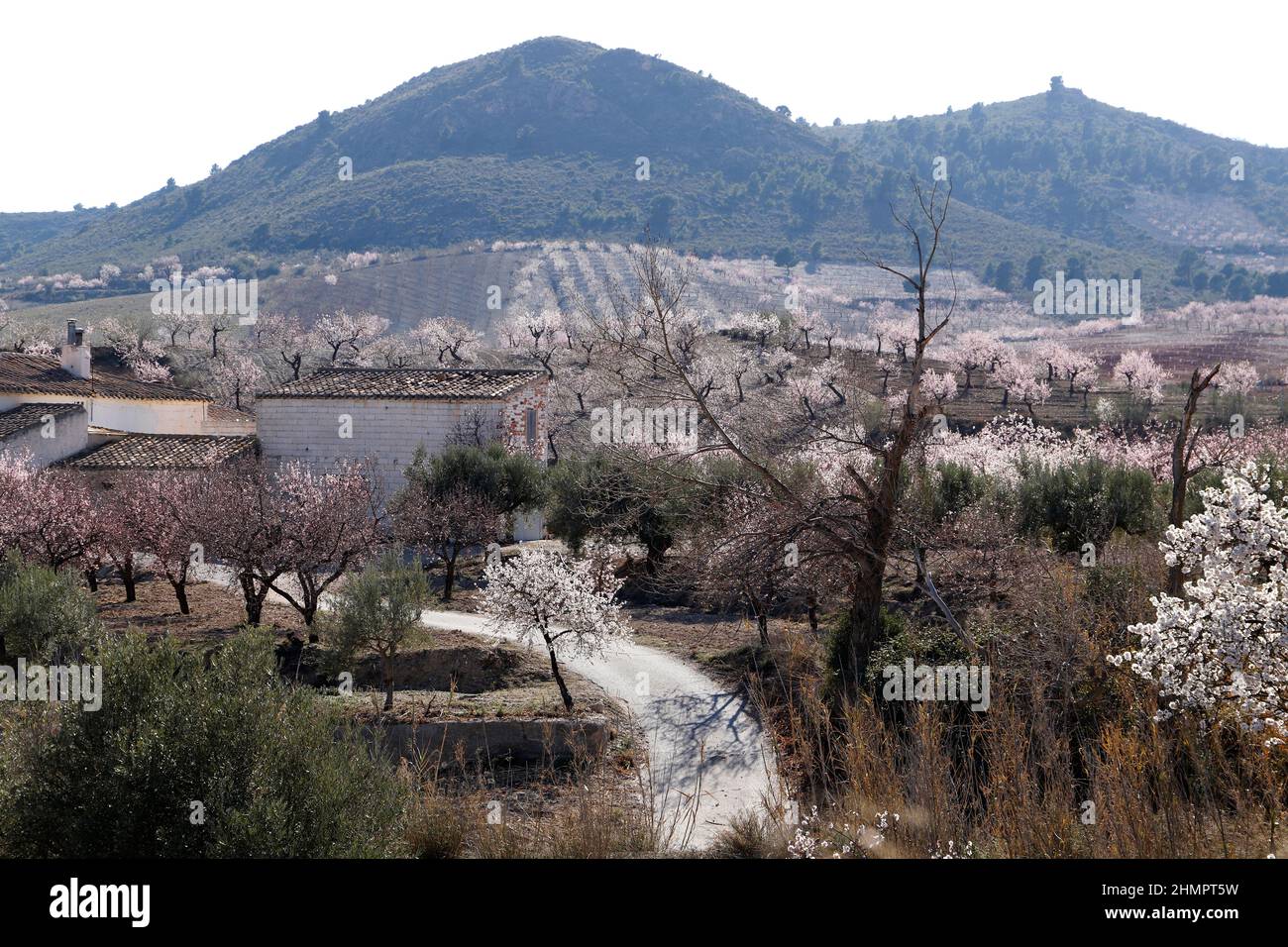 Beautiful landscape in oria hi-res stock photography and images - Alamy
