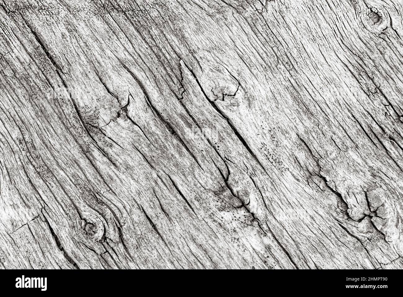 Grey wood rustic texture for background Stock Photo - Alamy