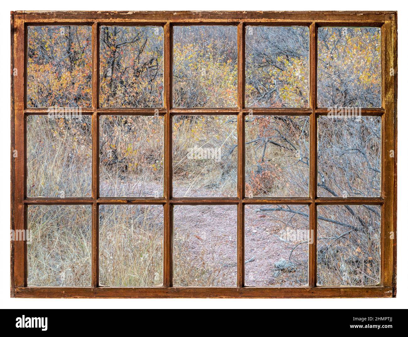 Grassland with shrubs Cut Out Stock Images & Pictures - Alamy