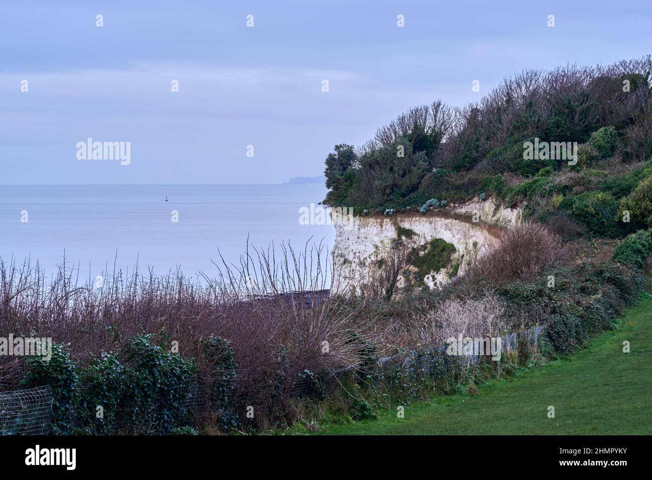 White cliffs looking over the sea Stock Photo - Alamy