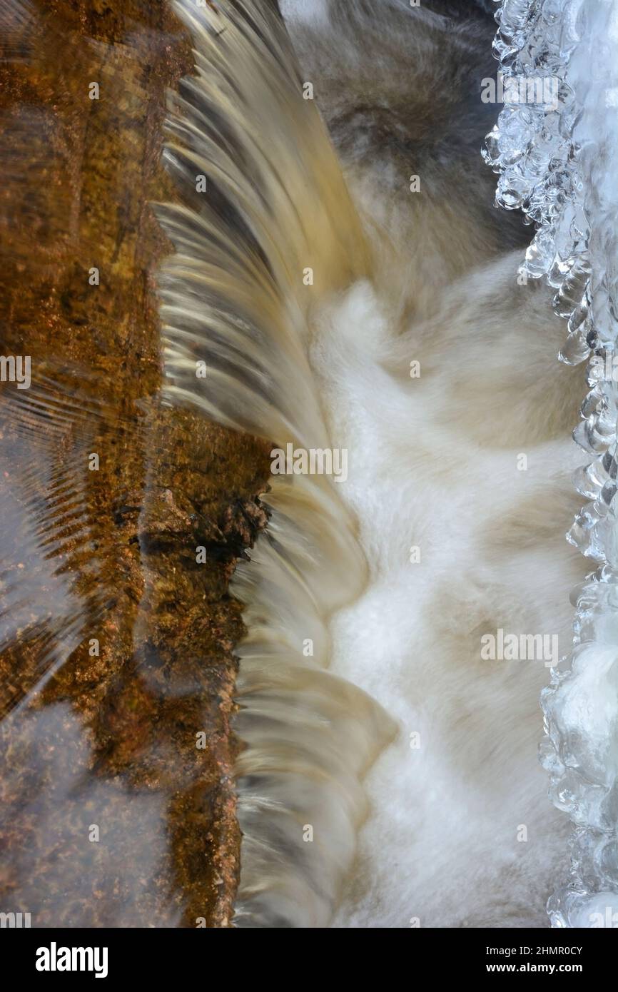 Small forest stream in the forest in winter. Russia, Leningrad region ...
