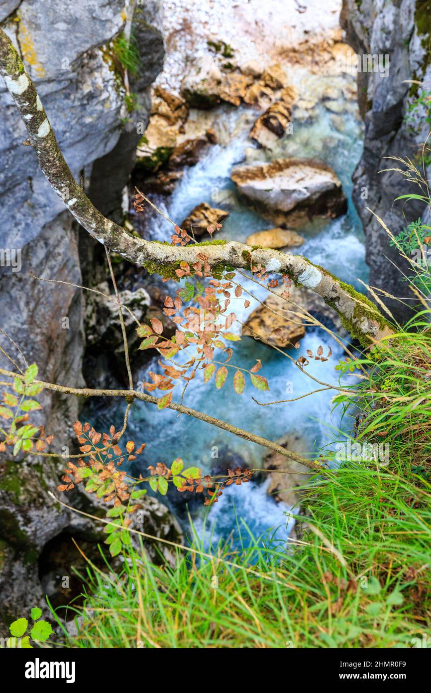 Soča valley great canyon hi-res stock photography and images - Alamy