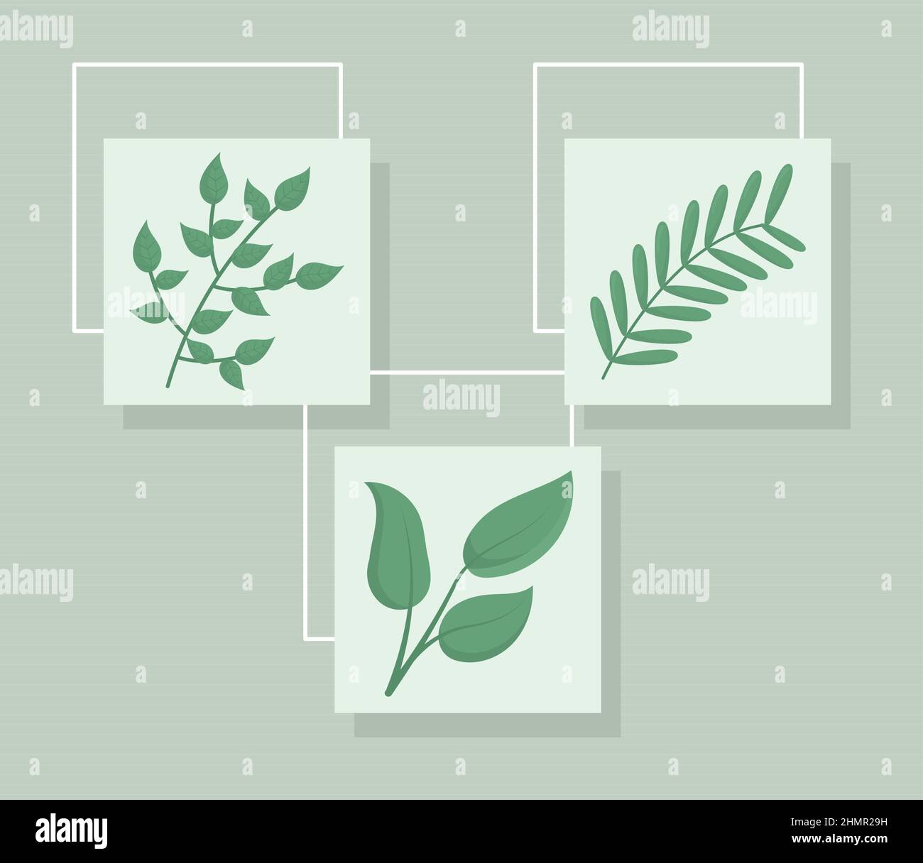 green leaves icon set design Stock Vector Image & Art - Alamy