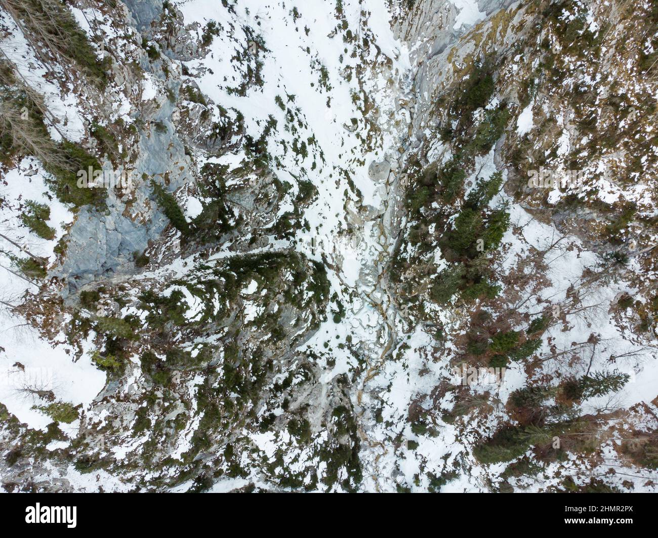 Flying through winter pine forest hi-res stock photography and images ...