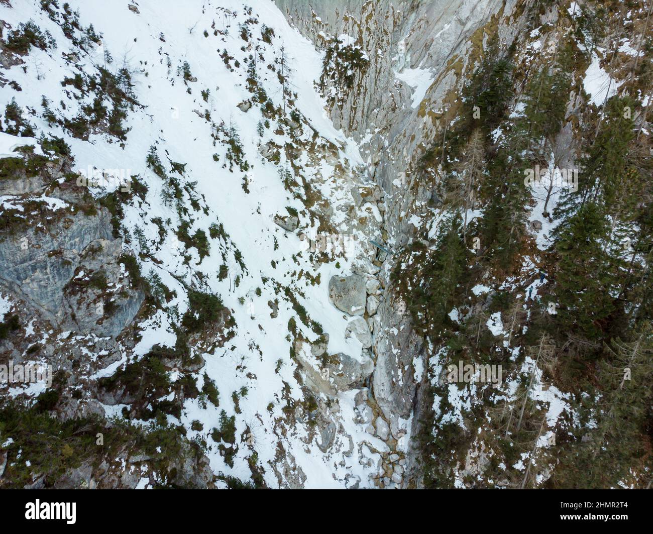 Flying through winter pine forest hi-res stock photography and images ...