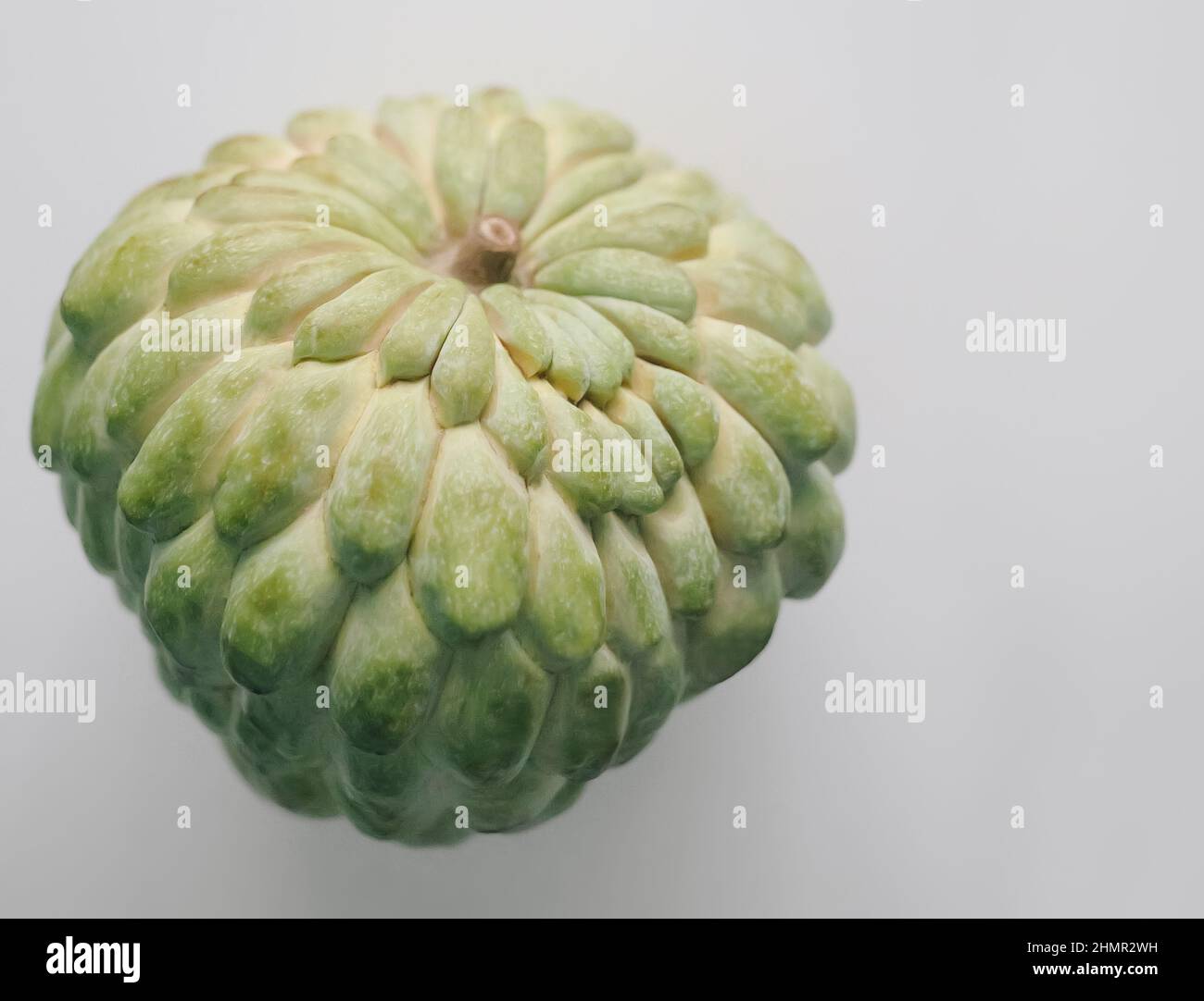 Cherimoya sugar apple eshta whole green fruit from Egypt Stock Photo ...