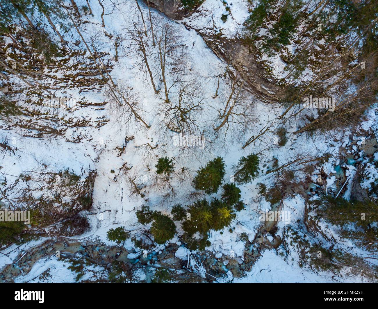 Flying through winter pine forest hi-res stock photography and images ...