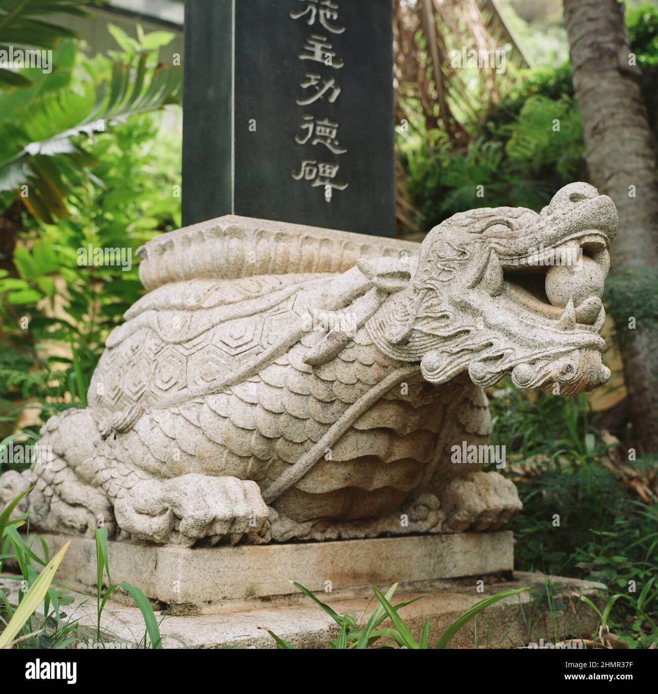 Korean church statue of a turtle dragon with a ball in its mouth Stock ...