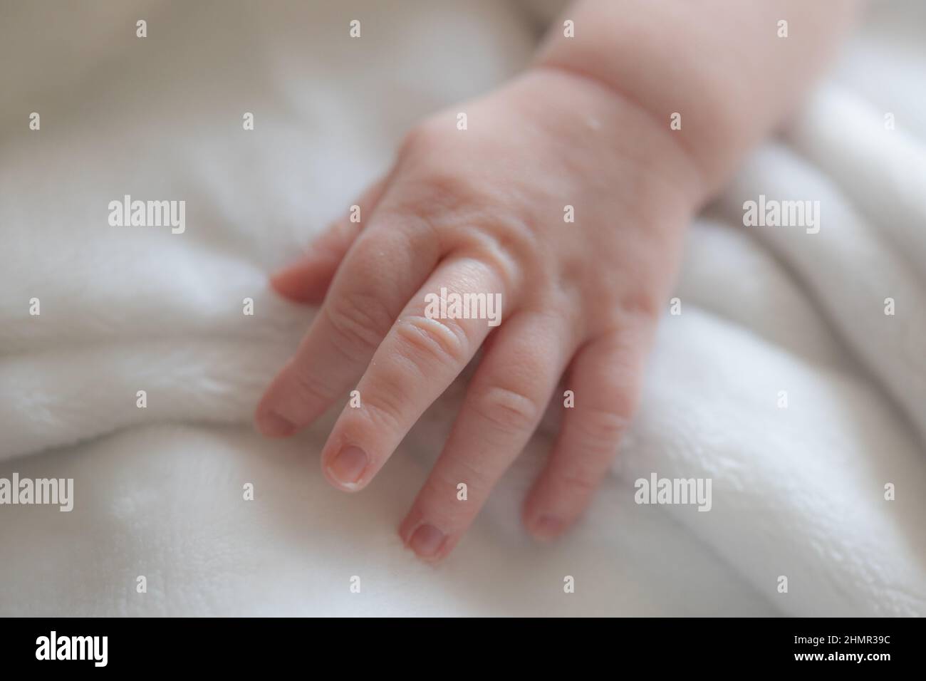 close up of a babies hand Stock Photo - Alamy