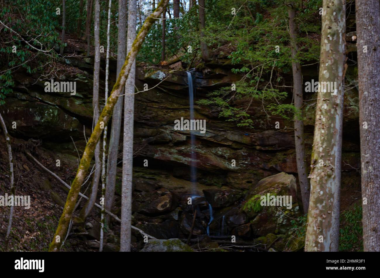 Bell Falls in the Red River Gorge of the Daniel Boone National Forrest ...
