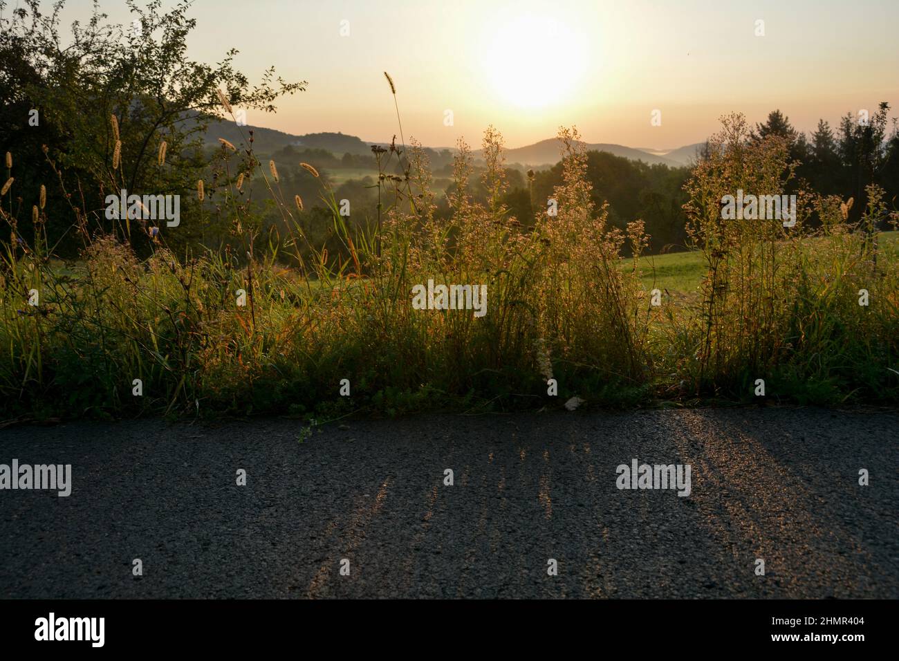 Meadow road sunrise sun hi-res stock photography and images - Alamy