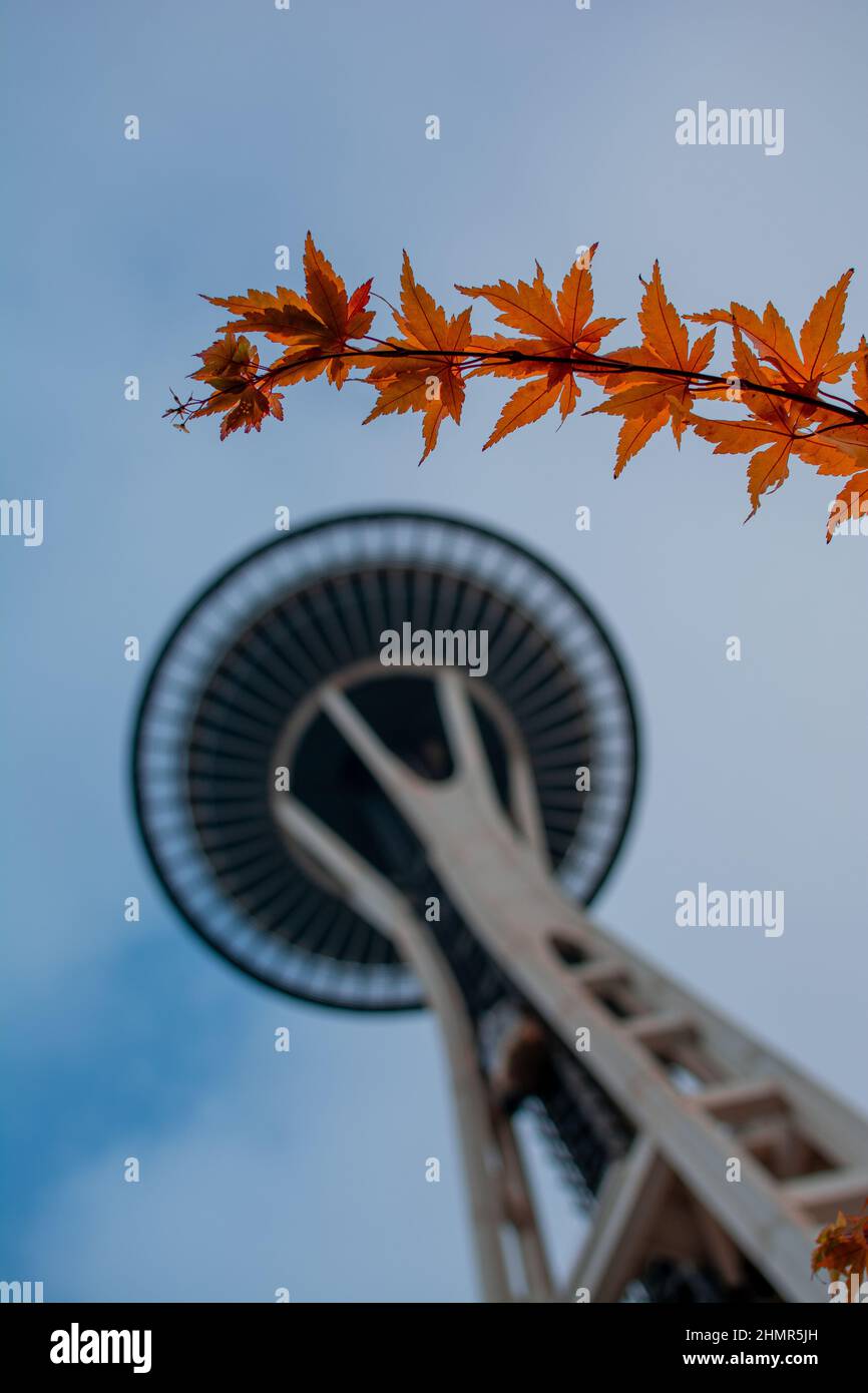 Seattle fall space needle hi-res stock photography and images - Alamy