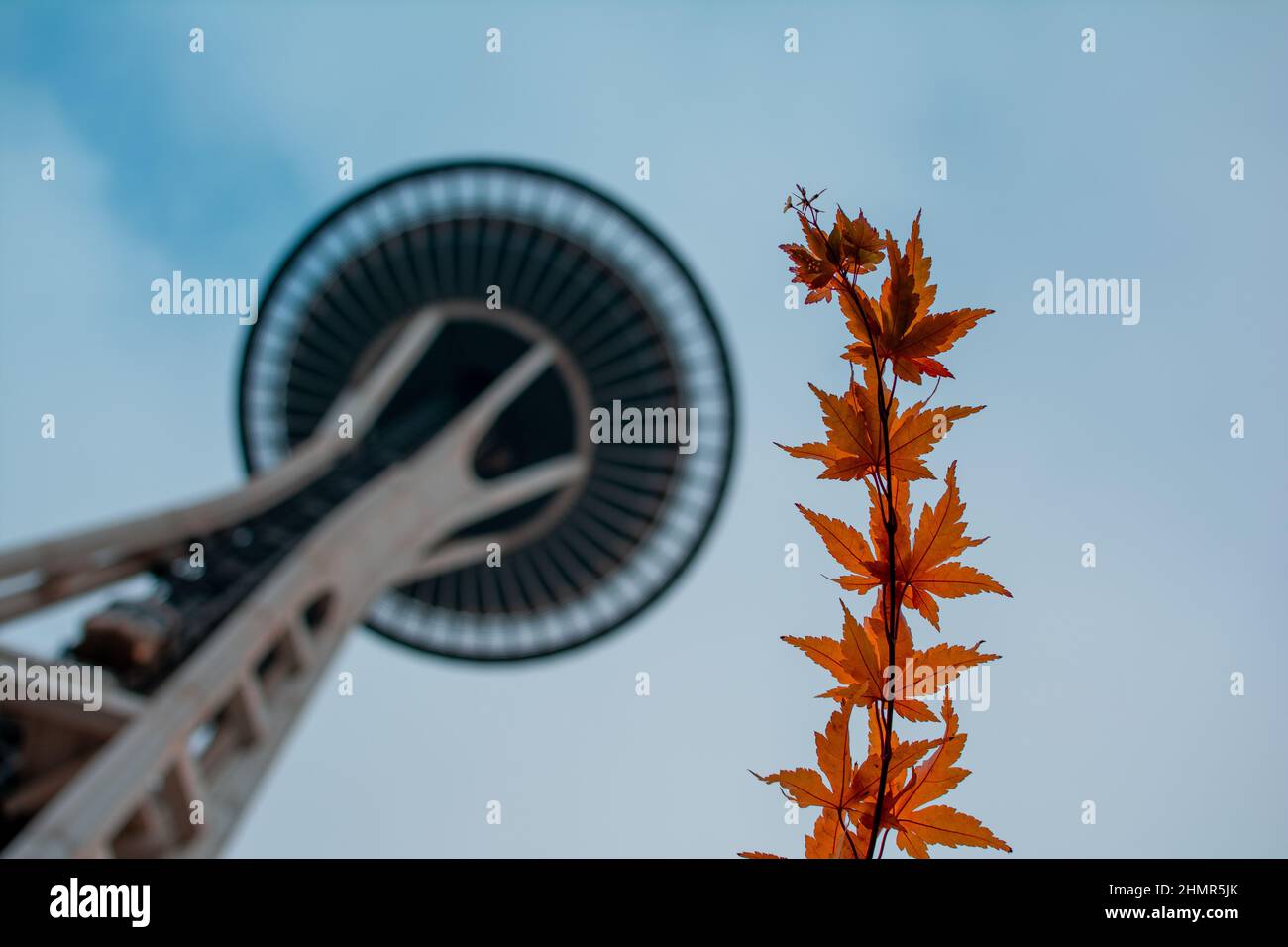 Low angle of a Space Needle with autumn leaves Stock Photo - Alamy