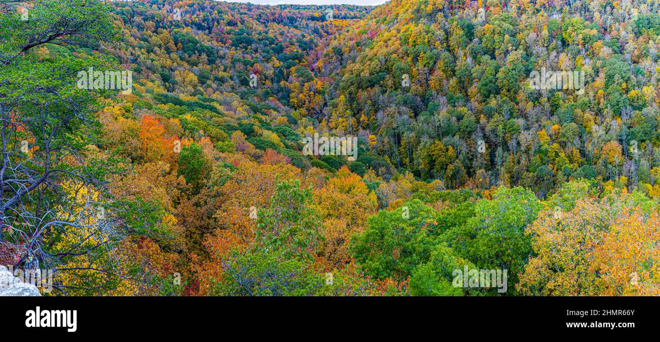Fall Foliage From Long Point, New River Gorge National Park, West ...