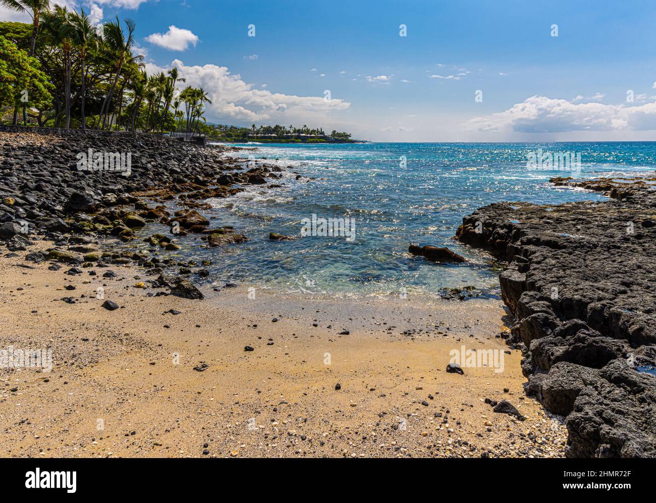 Coconut Palm Trees on Honi's Beach, Wai'aha Beach Park, Holualoa ...