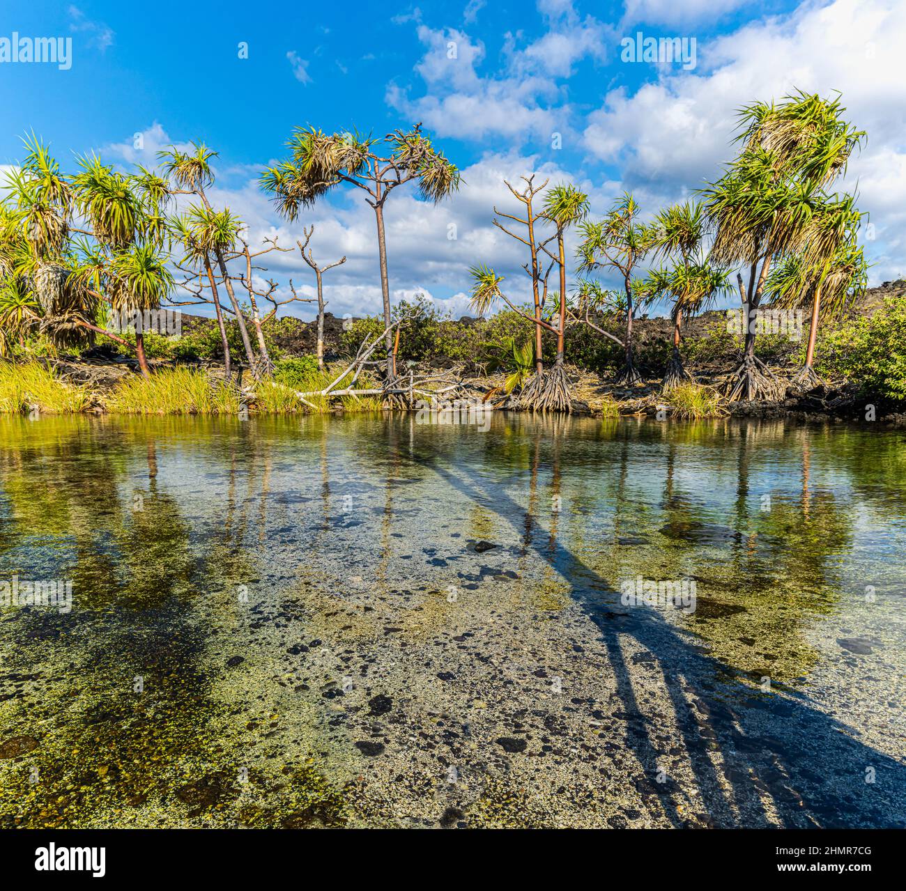 Pohue bay trail hi-res stock photography and images - Alamy