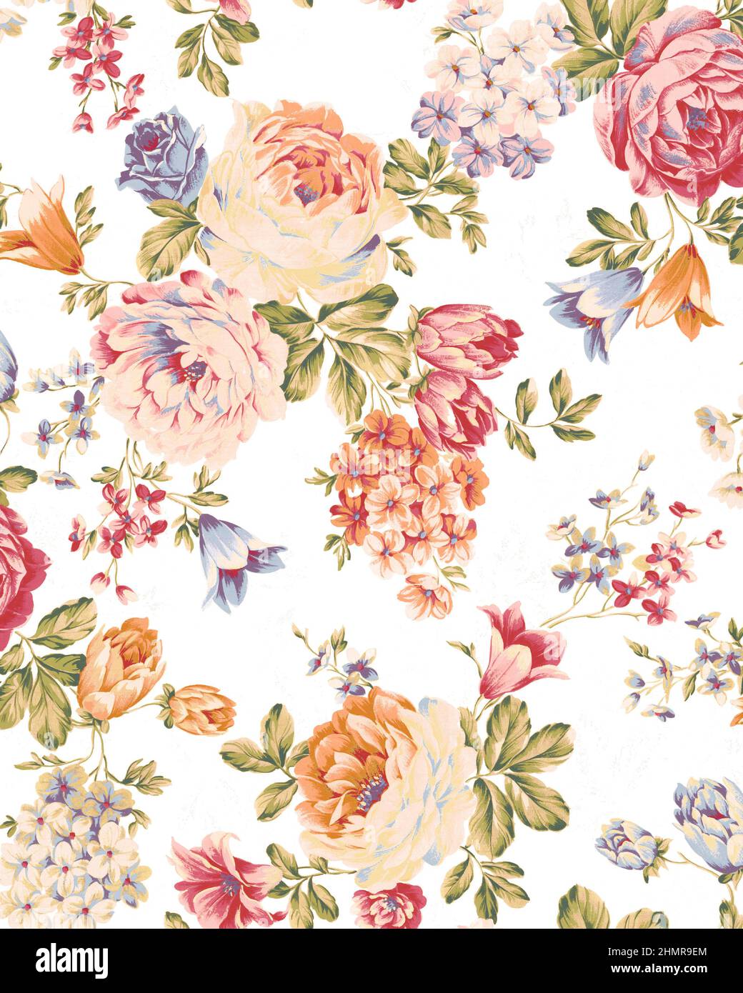 Watercolour Flower Illustrations, Digital Print Flowers Stock Photo - Alamy