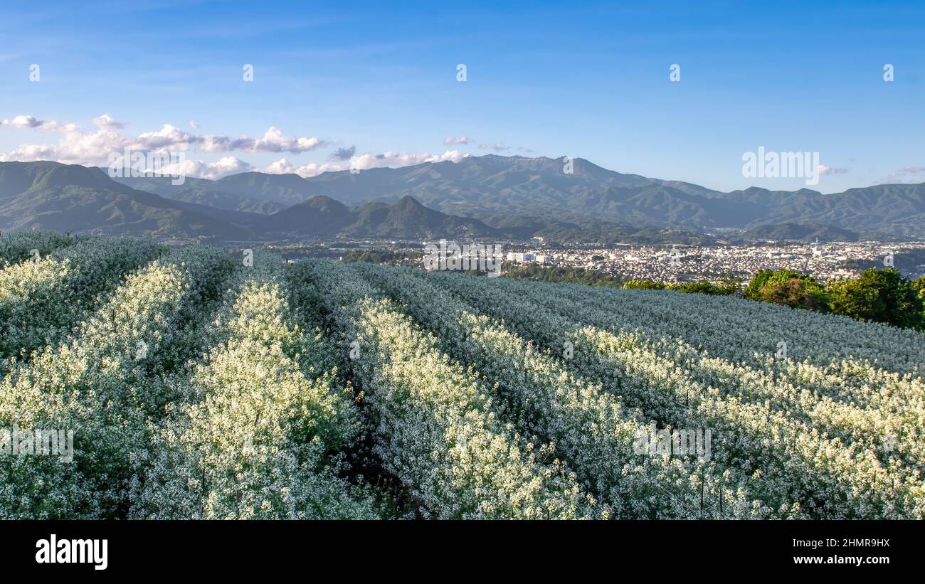 Beautiful view of the countryside in Numata, Japan Stock Photo - Alamy