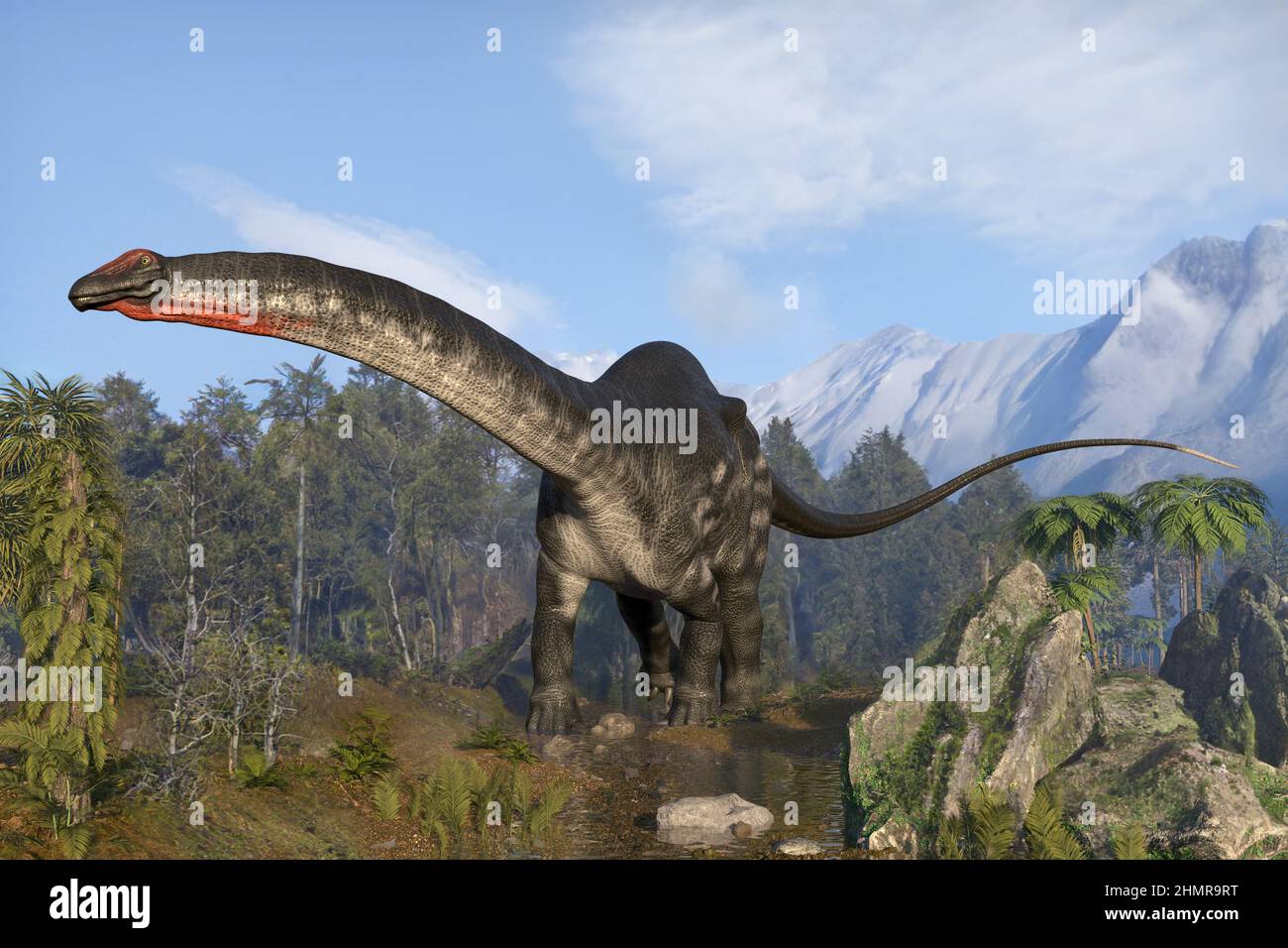 Apatosaurus dinosaur, illustration Stock Photo - Alamy