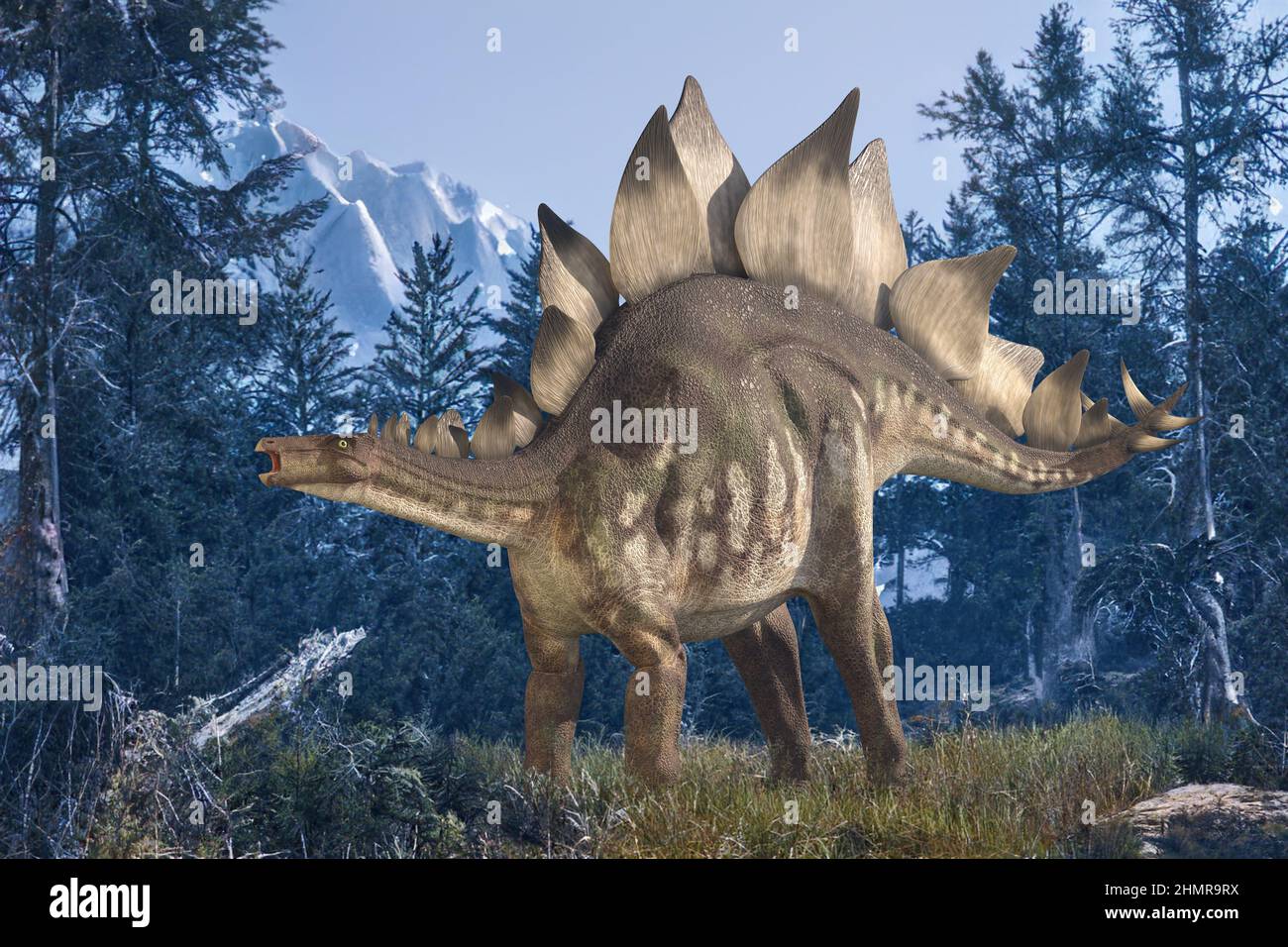 Stegosaurus dinosaur, illustration Stock Photo - Alamy