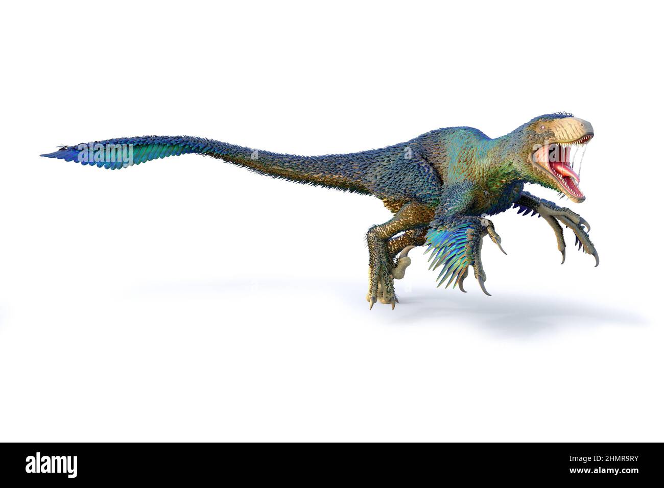 Dakotaraptor hi-res stock photography and images - Alamy