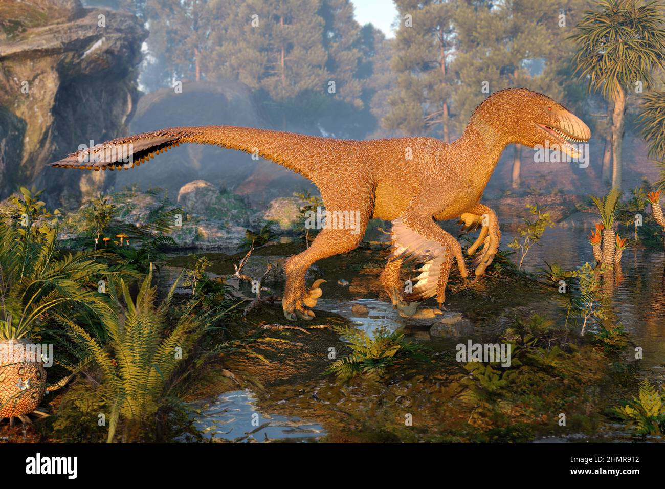 Dakotaraptor dinosaur, illustration Stock Photo - Alamy