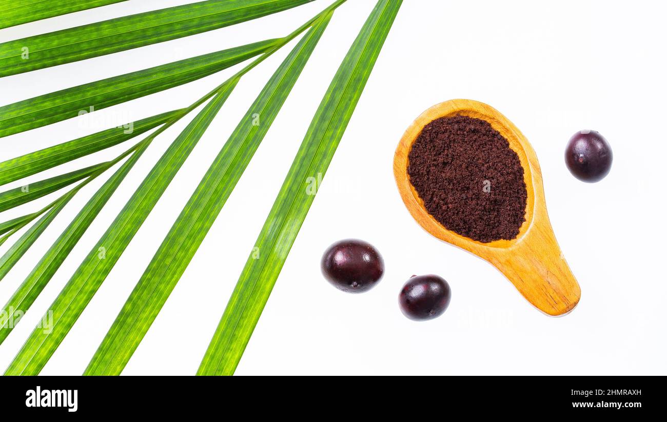 Euterpe oleracea - Acai berry powder in spoon Stock Photo - Alamy