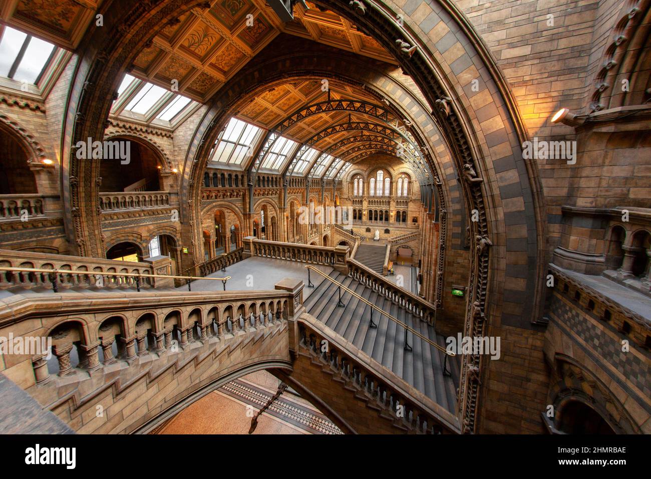 Inside view of London British Museum of Natural History Stock Photo - Alamy