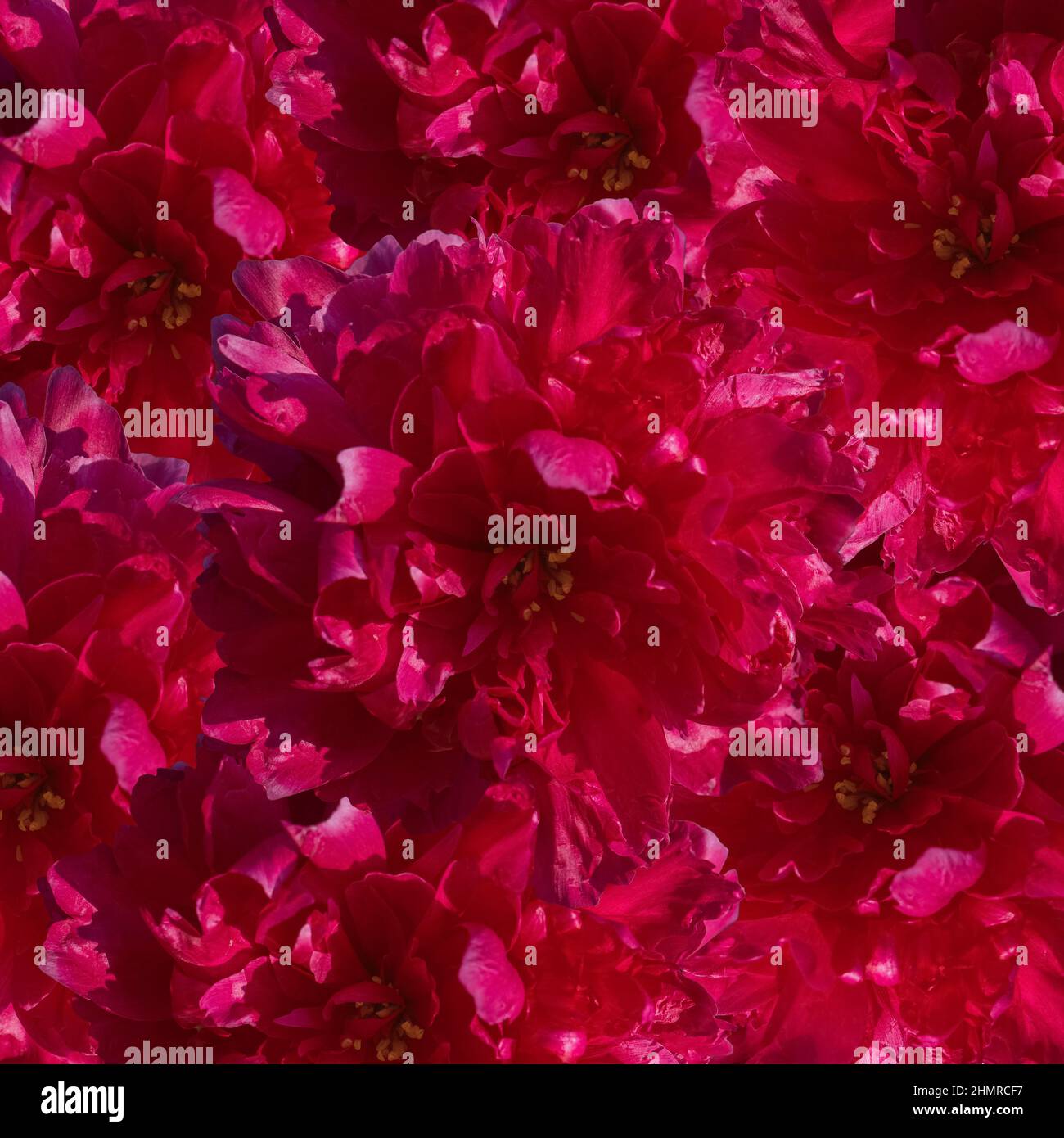 Repetative pattern hi-res stock photography and images - Alamy