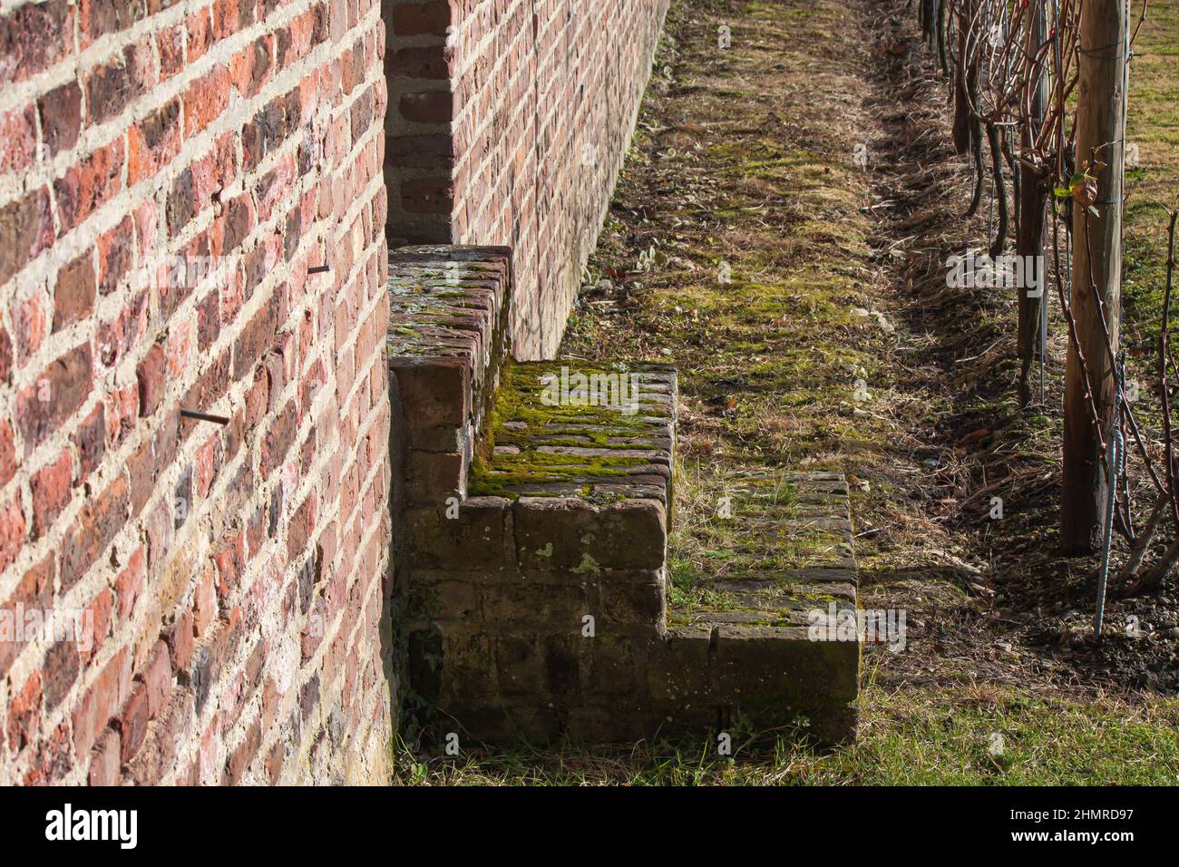 Closeup shot concrete stairs hi-res stock photography and images - Alamy