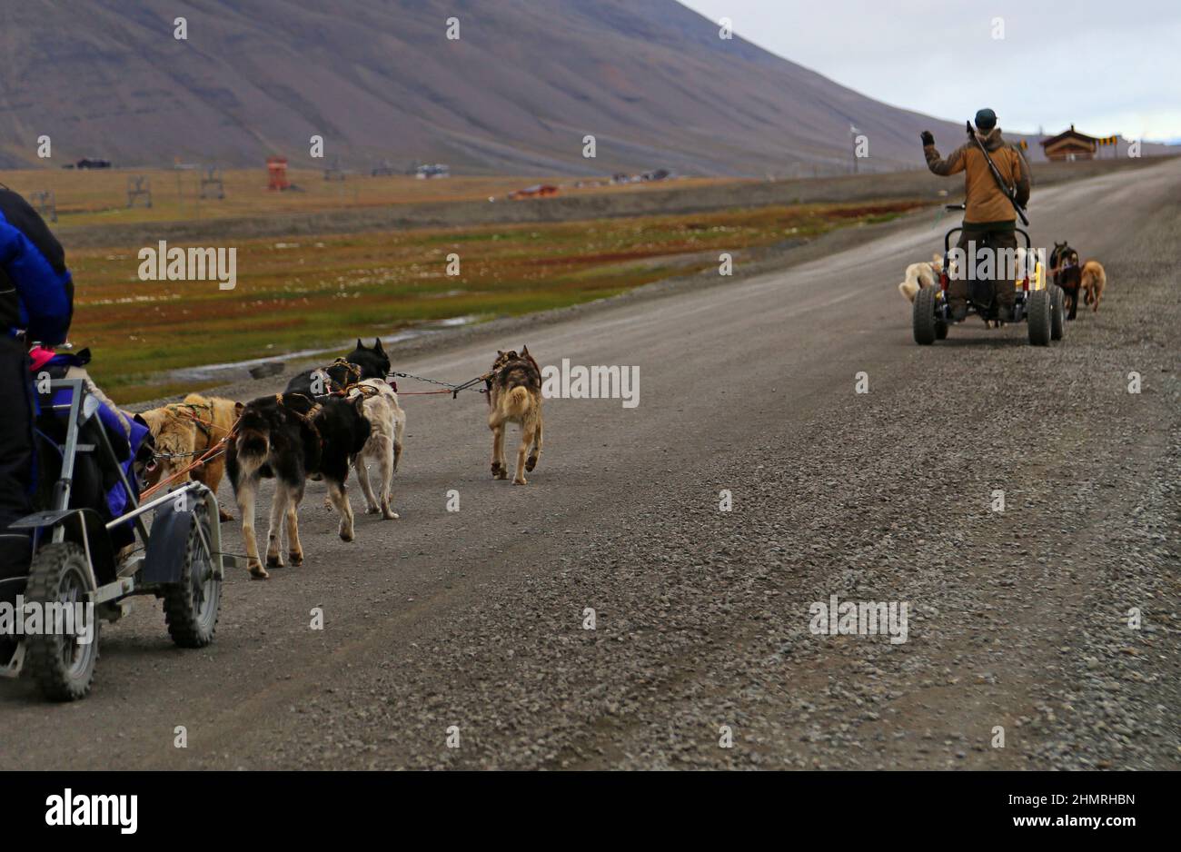 Pulling a sled hi-res stock photography and images - Alamy