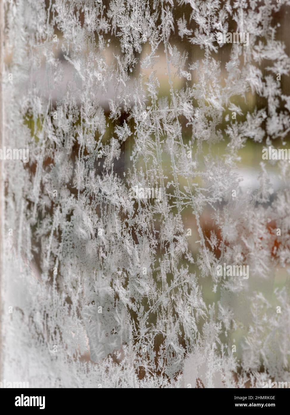 beautiful texture of ice flowers on glass, fragments of ice flower on ...