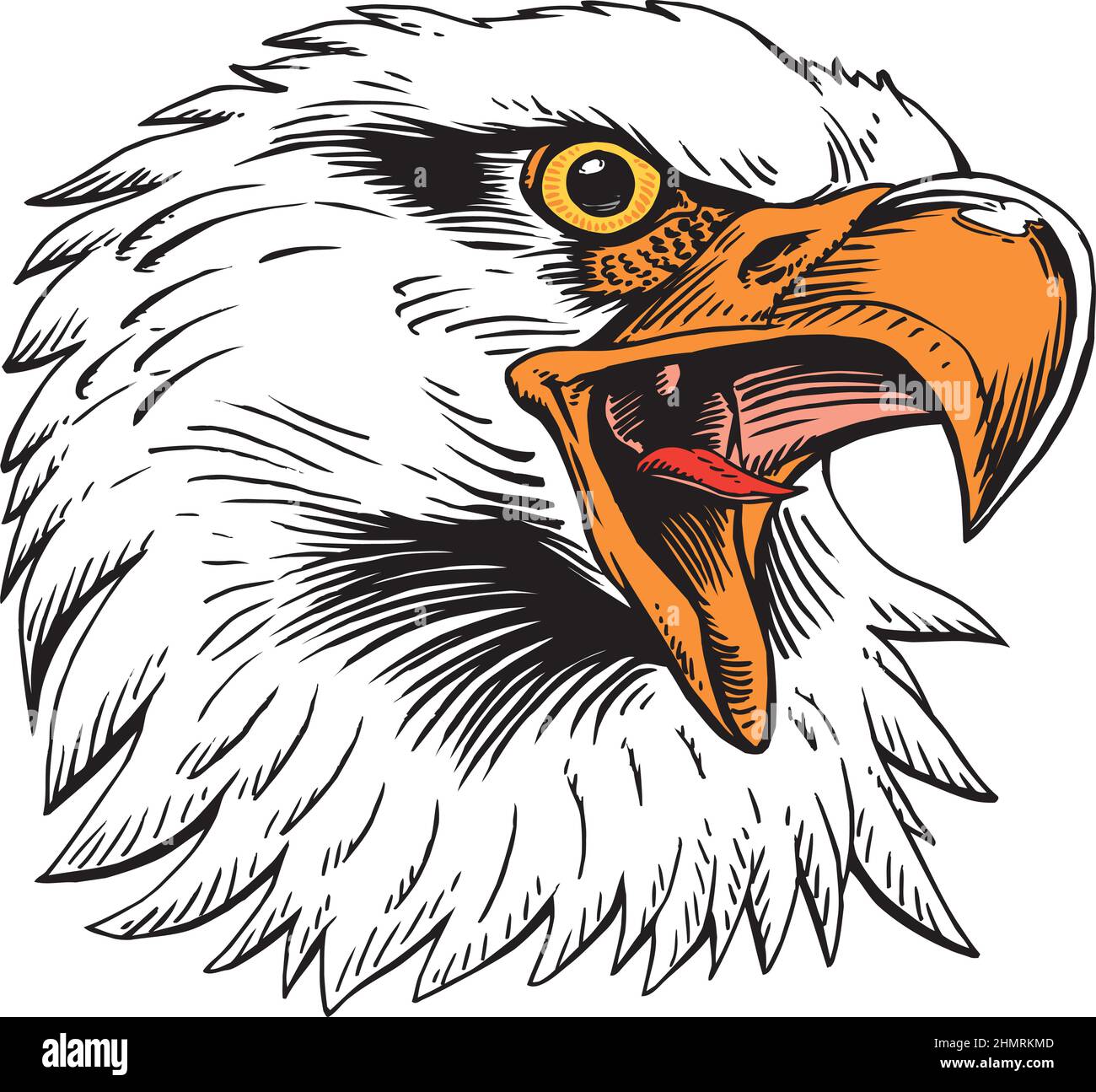 Bald eagle screaming Cut Out Stock Images & Pictures - Alamy