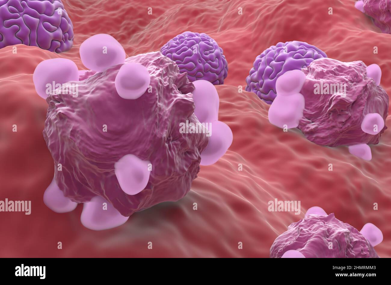Ovarian cancer cells - closeup view 3d illustration Stock Photo - Alamy