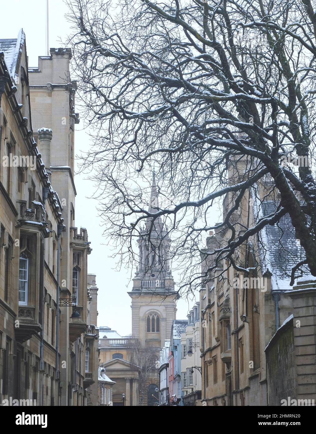 Beautiful view of a leafless tree, buildings and a tower in Turl Street ...