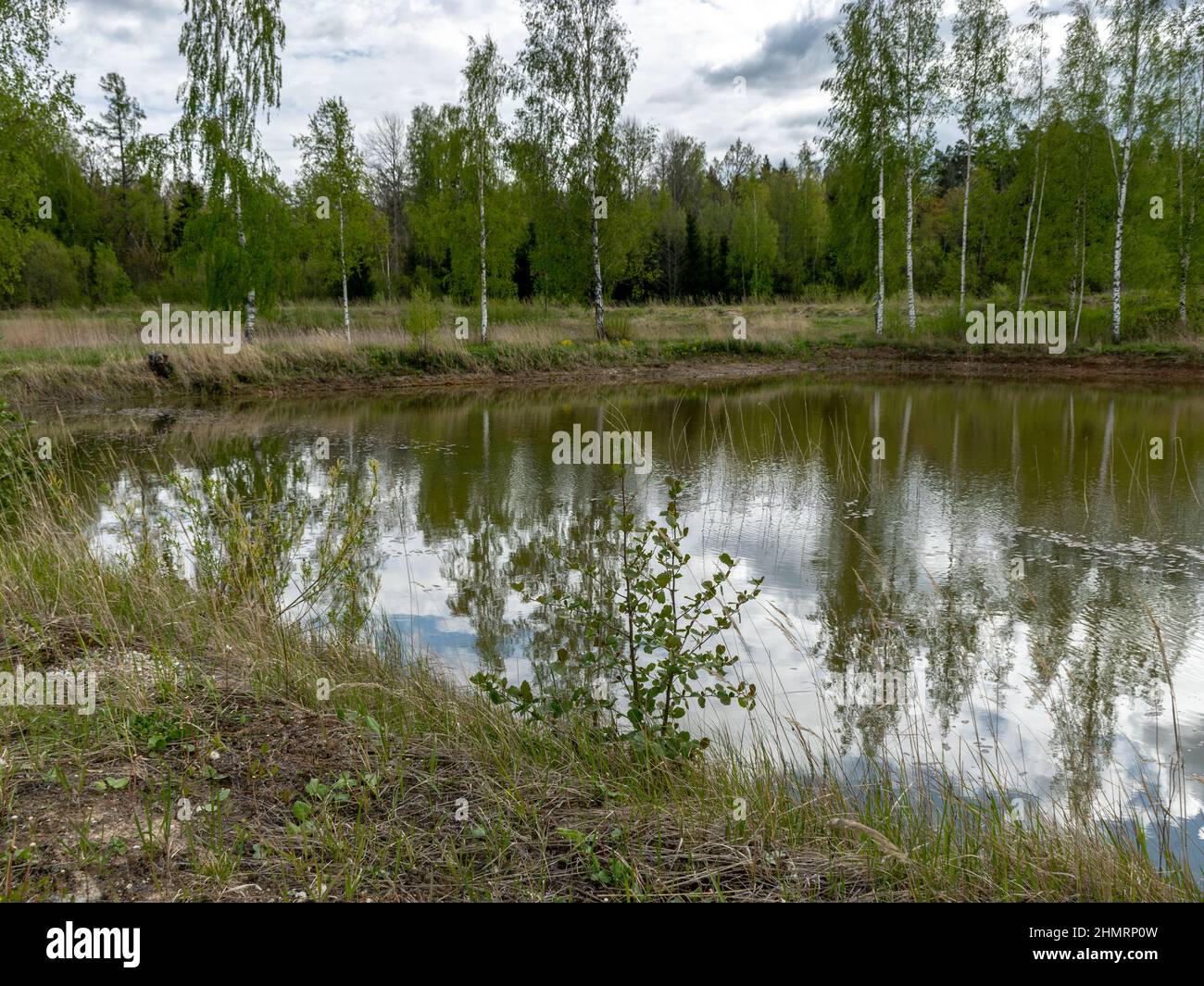 landscape with fish ponds, cumulus clouds and trees reflected on the ...
