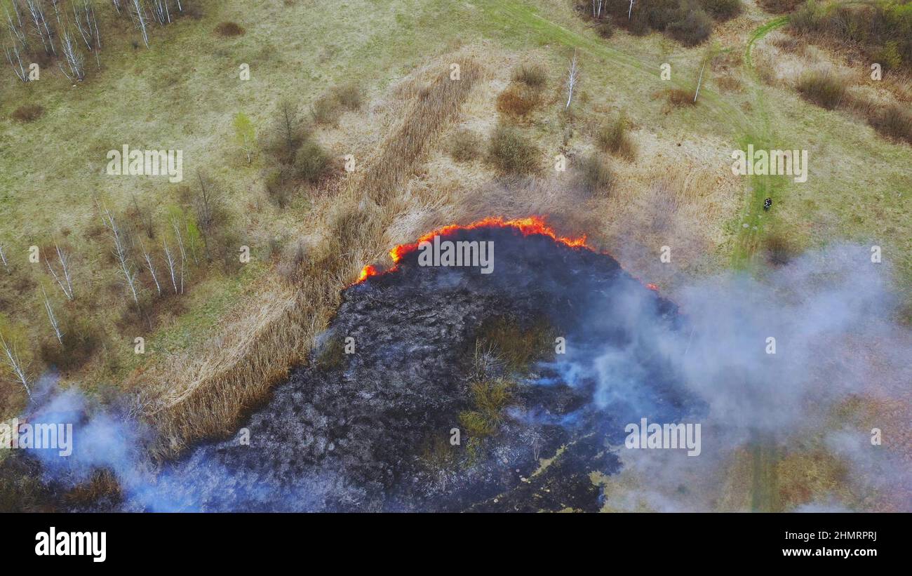 Wild Open Fire Destroys Grass. 4K Aerial View Spring Dry Grass Burns ...