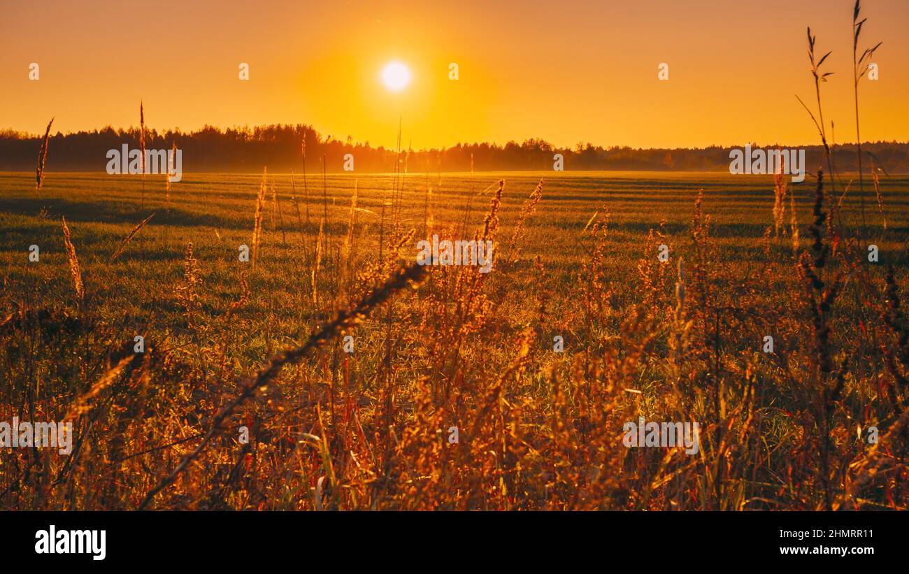 4K Beautiful autumn field landscape . Sun Shining During Sunny Sunset ...