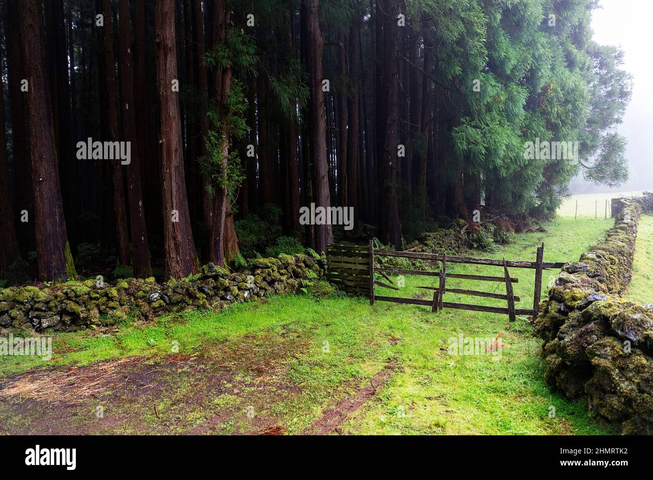 Entrance forest closed gate hi-res stock photography and images - Alamy