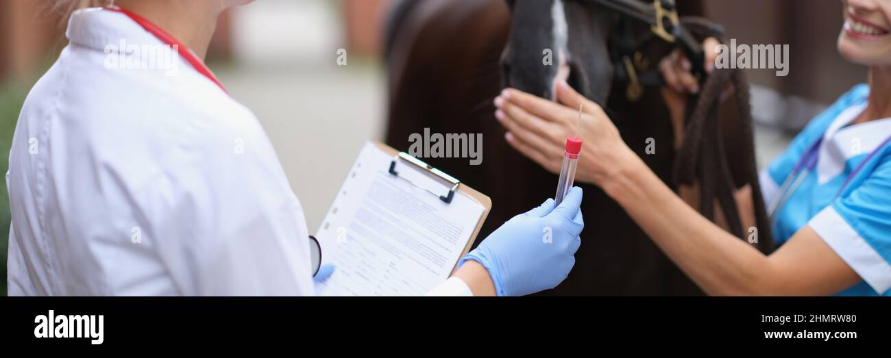 Vet blood sample horse hi-res stock photography and images - Alamy