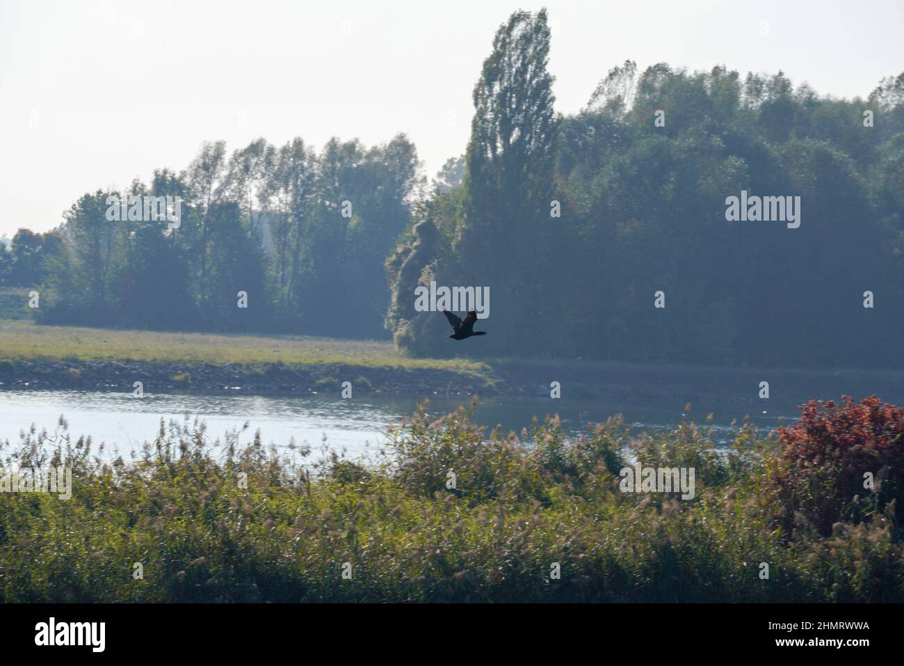 Autumn colors in different panorama shots in green and brown tones ...