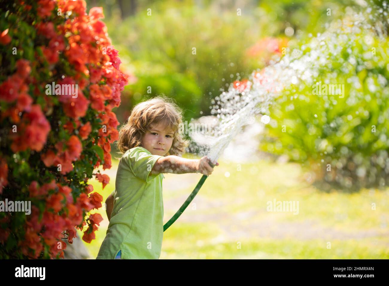 Child watering flowers and plants in garden. Kid with water hose in ...